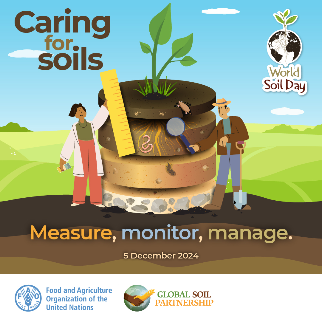 World Soil Day 2024 – Effective Soil Health Management - Mantech